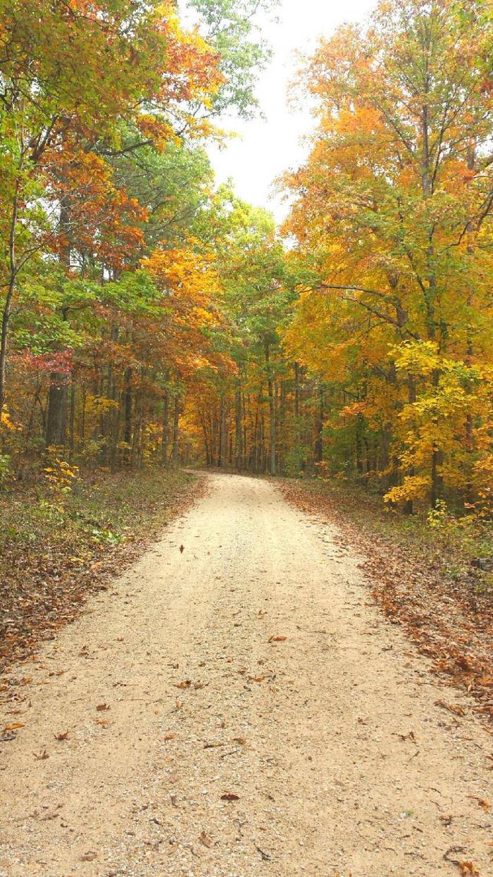 Slabtown Recreation Area, Missouri Hiking Trails Info, Map & More