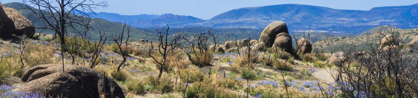 Dugas - Tule Mesa, Arizona Hiking Trails Info, Map & More