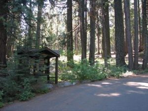 STUMPY MEADOWS, CA Campground Reservation, Info, Images, Map, Directions