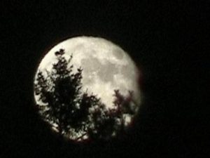 FRANKLIN LAKE, WI Campground Reservation, Info, Images, Map, Directions